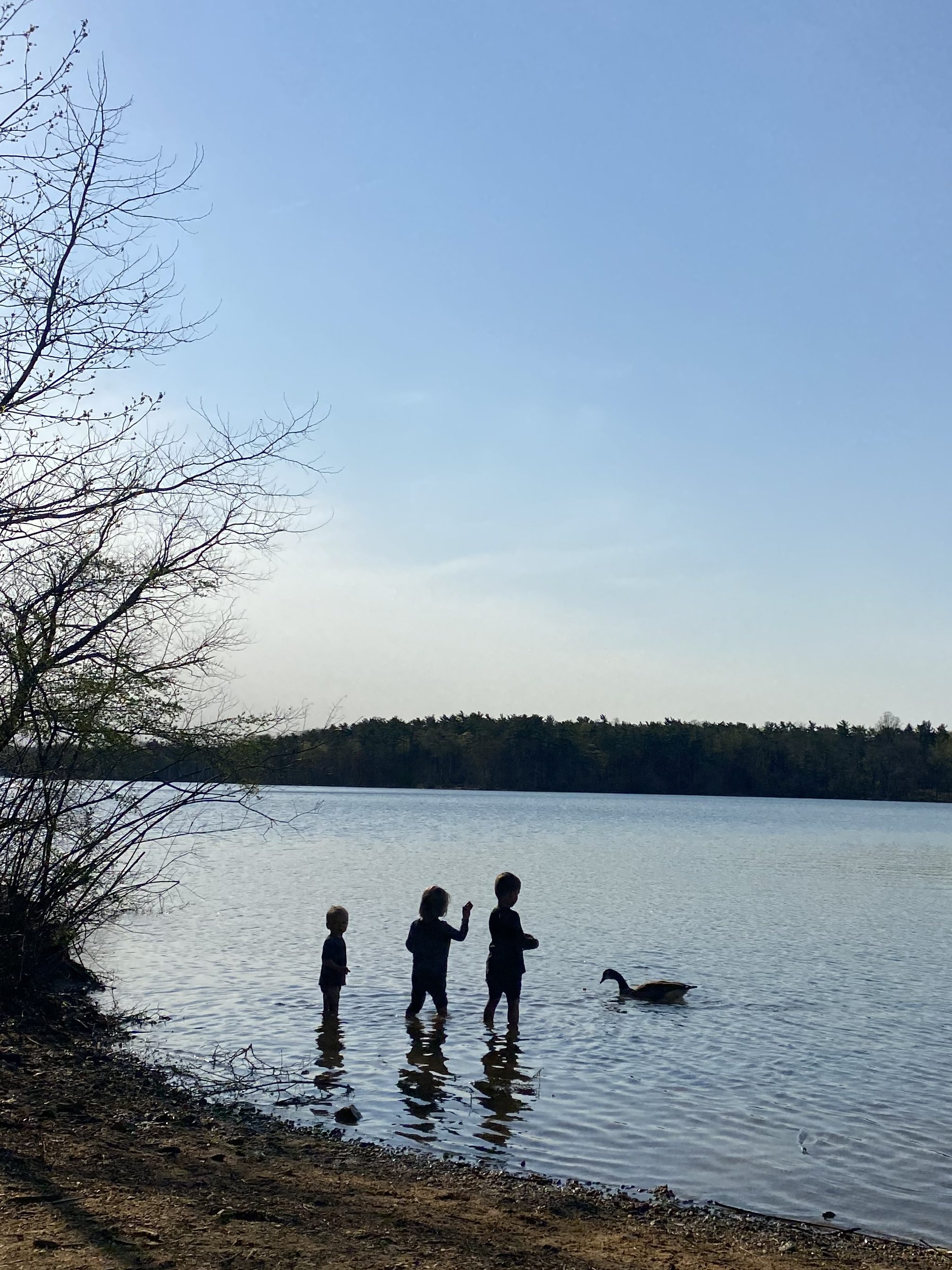 Meet the Crew! – Five Rings Farm